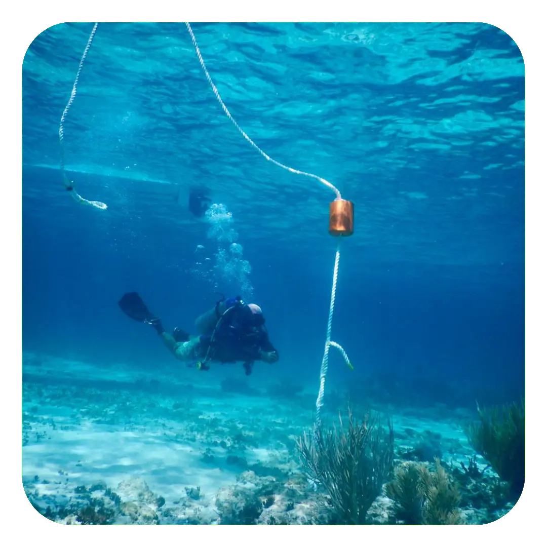 Servicios | Leviathán